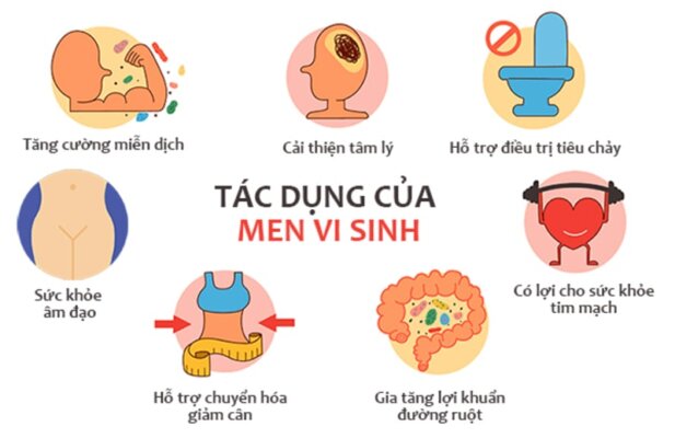 Tìm hiểu men vi sinh là gì? Các loại men vi sinh tốt nhất